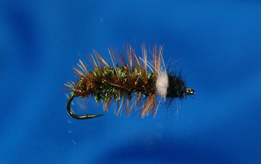 Cased Caddis Fly - Fishing Flies with Fish4Flies UK